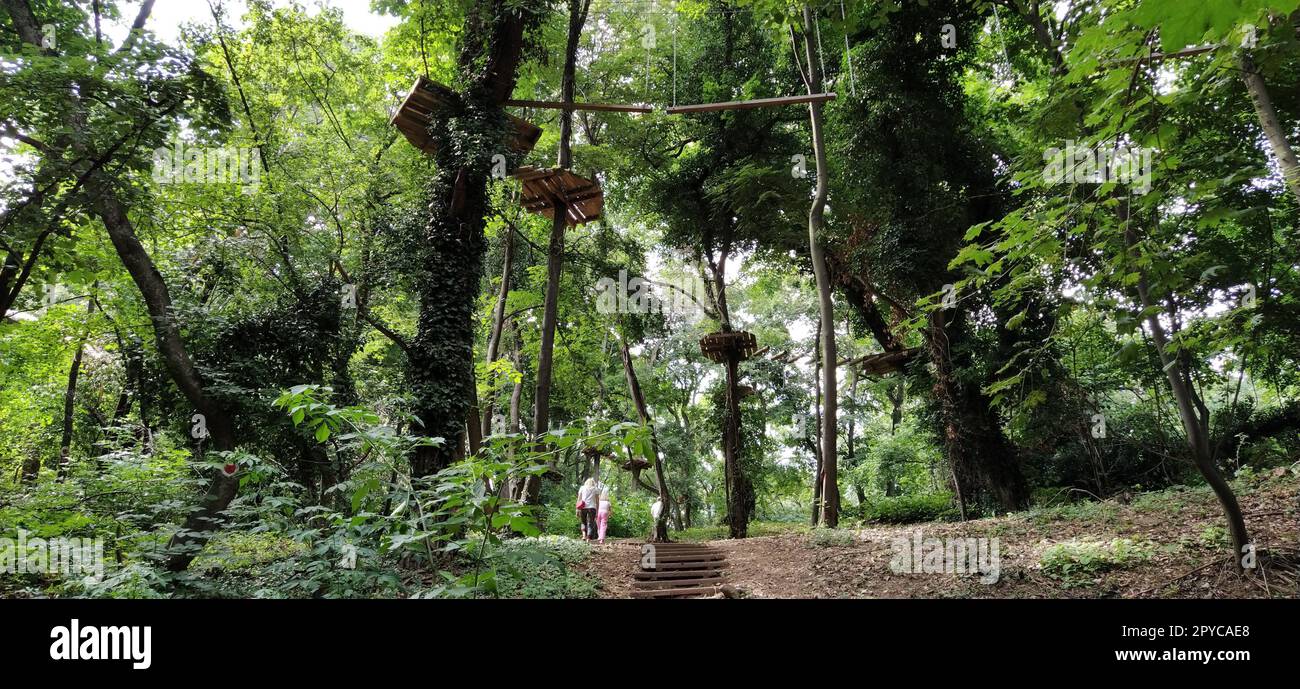 Go Ape Adventure. Located in national parks and local recreational ...