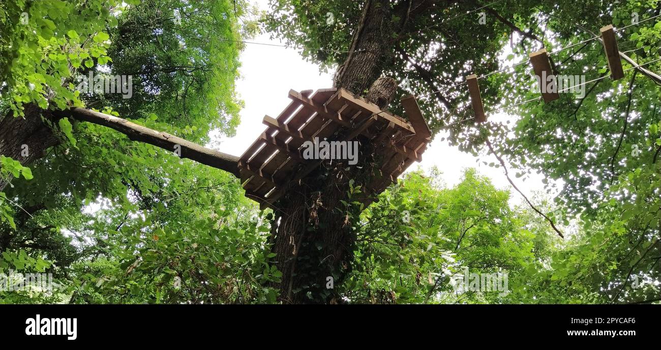 Go Ape Adventure. Located in national parks and local recreational ...