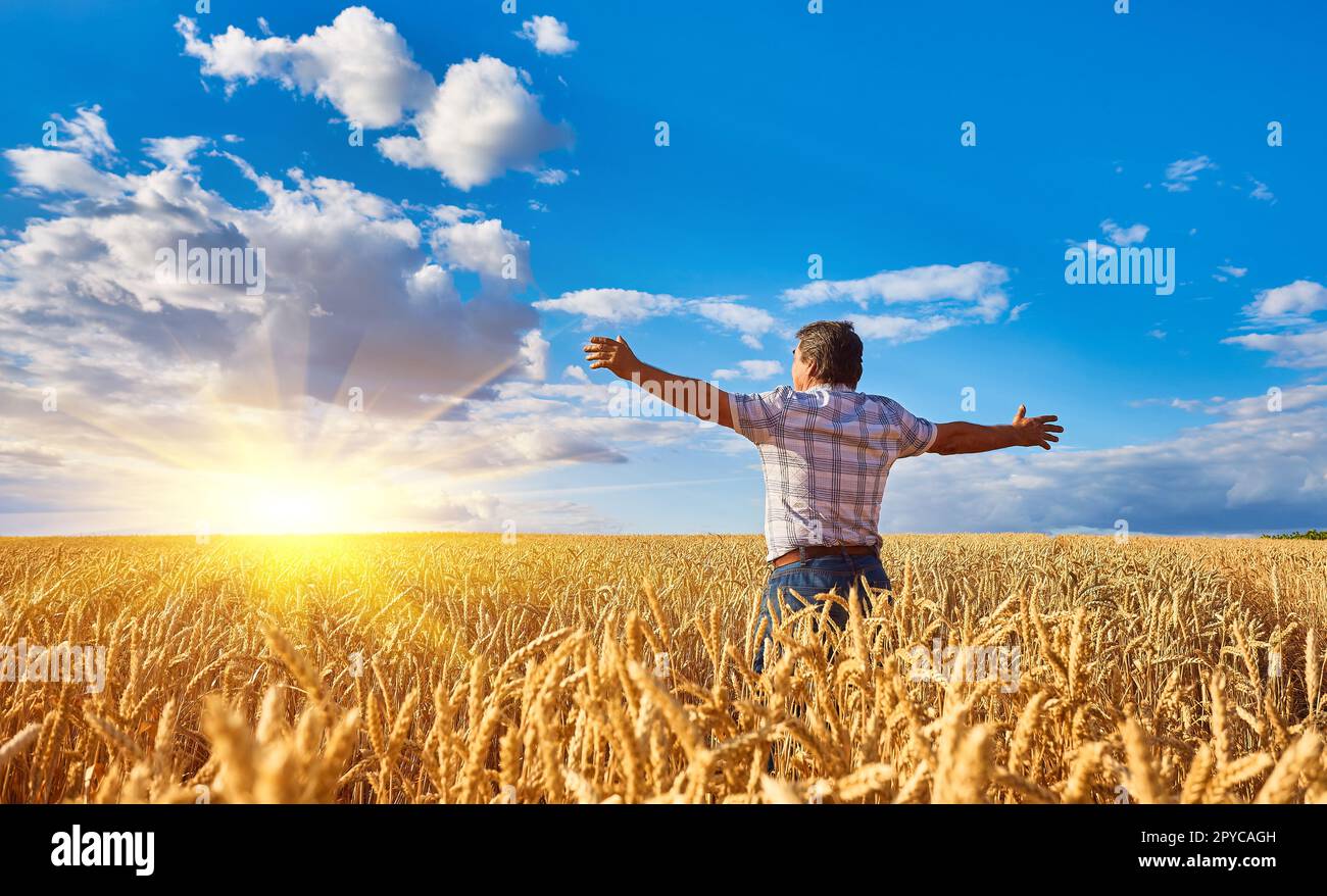 Happy farmer proudly standing in wheat field. Agronomist wearing ...