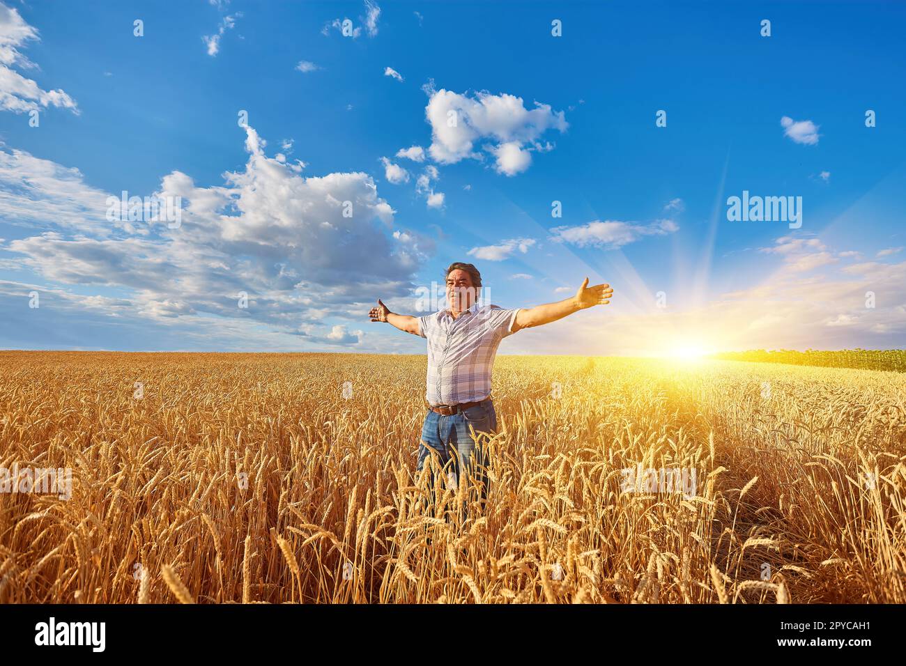 Happy farmer proudly standing in wheat field. Agronomist wearing ...