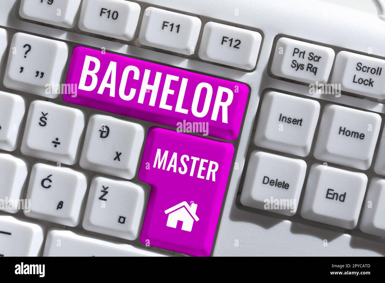 Text caption presenting Bachelor Master. Internet Concept An advanced ... Text caption presenting Bachelor Master. Internet Concept An advanced ...