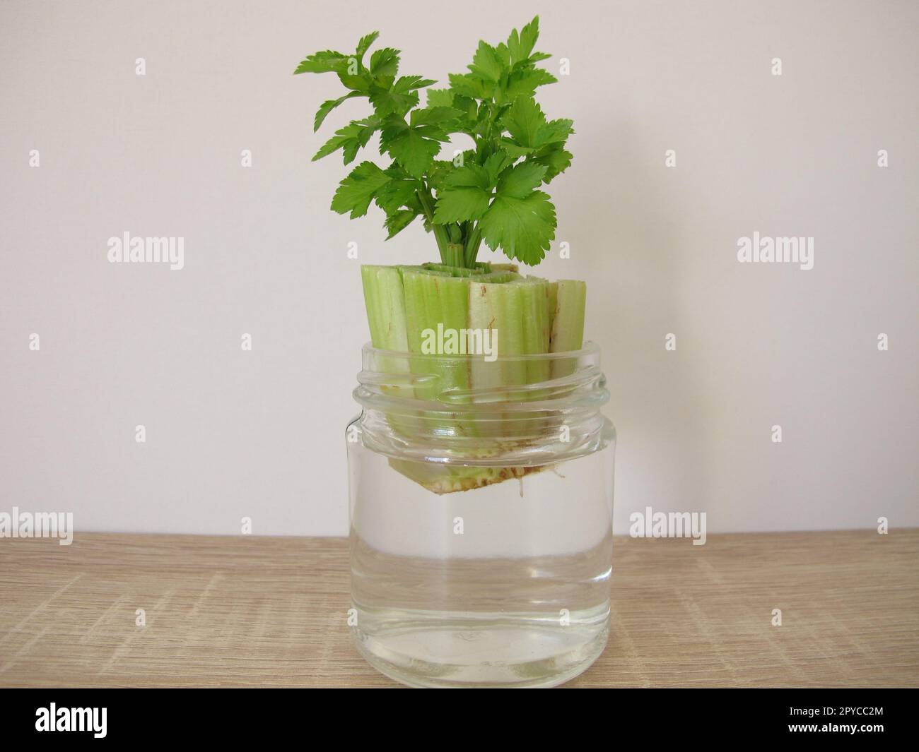 Celery in a water glass hi-res stock photography and images - Alamy