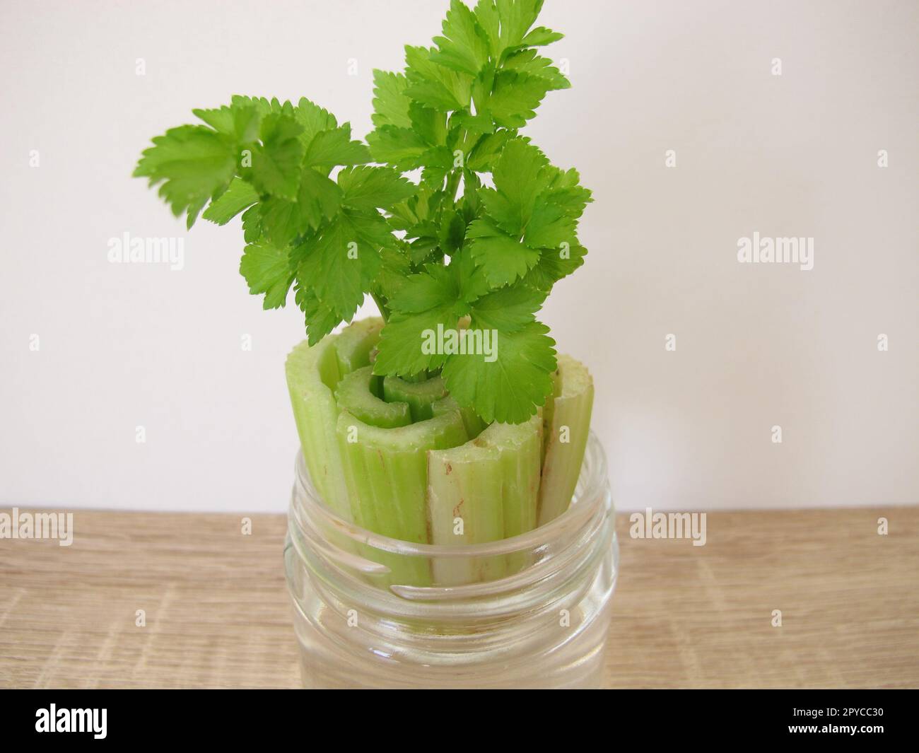 Celery in a water glass hi-res stock photography and images - Alamy