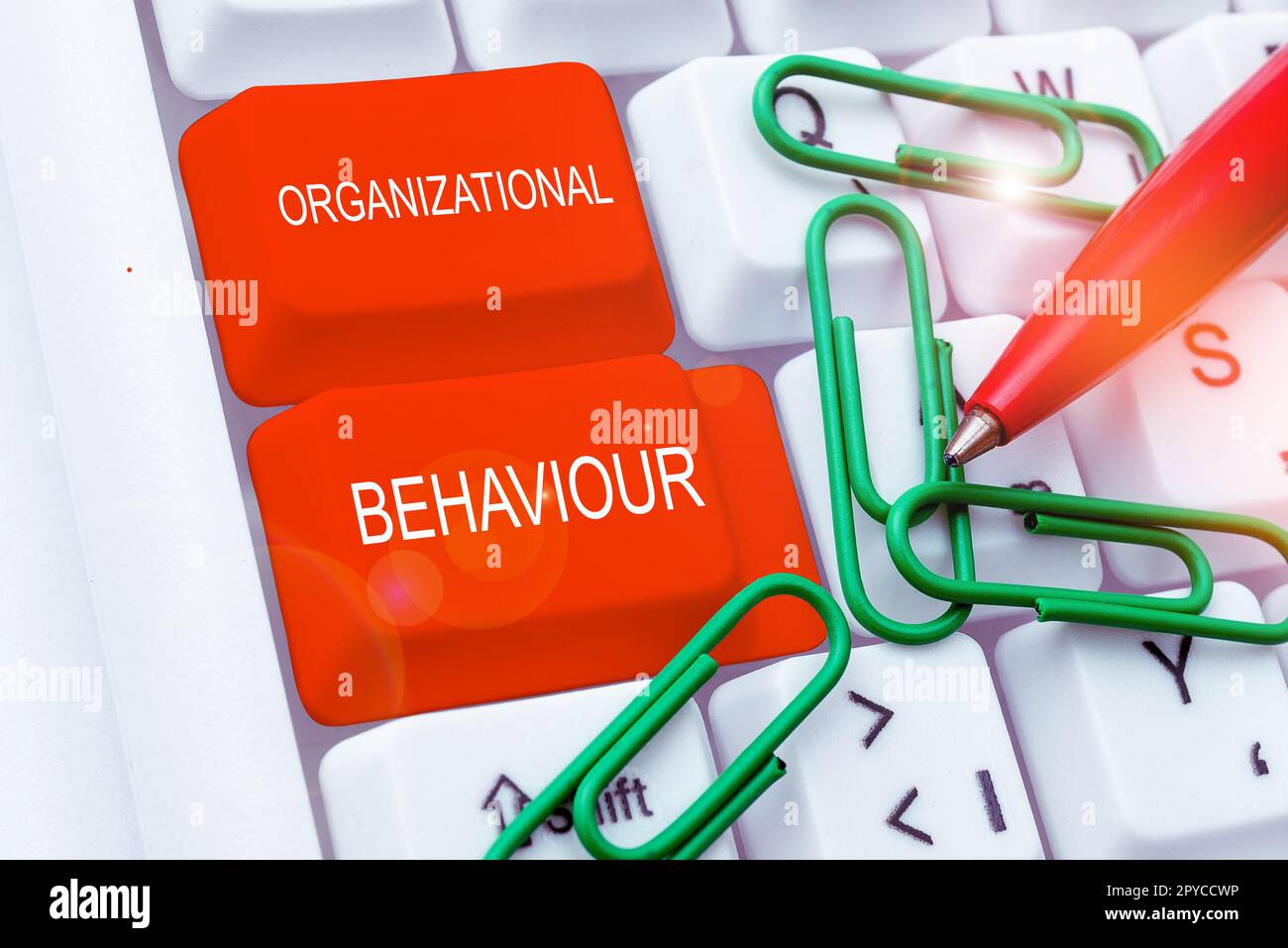 Conceptual caption Organizational Behaviour. Conceptual photo the study ...