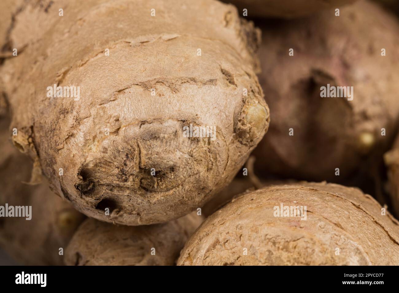 Ginger root background hi-res stock photography and images - Alamy