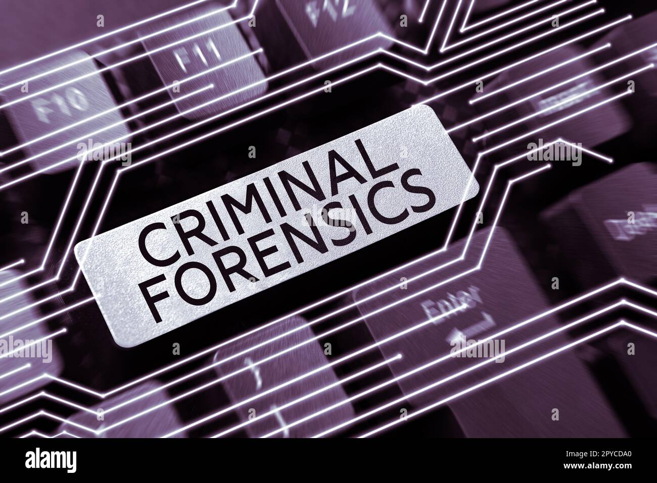 Handwriting text Criminal Forensics. Business overview Federal Offense ...