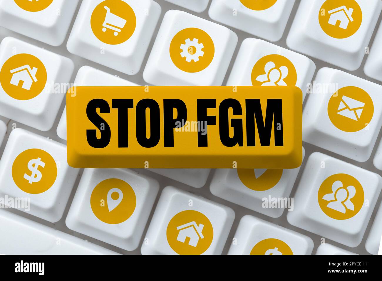 Text showing inspiration Stop Fgm. Business overview Put an end on ...