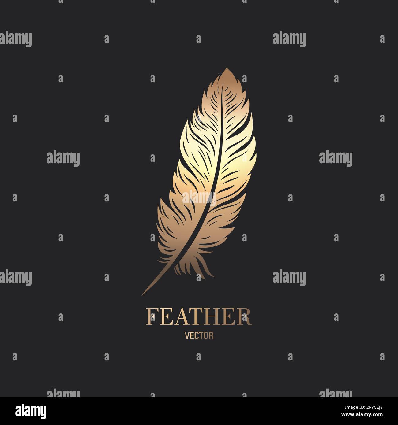Vector Fluffy Golden Color Feather Logo Icon, Silhouette Feather ...