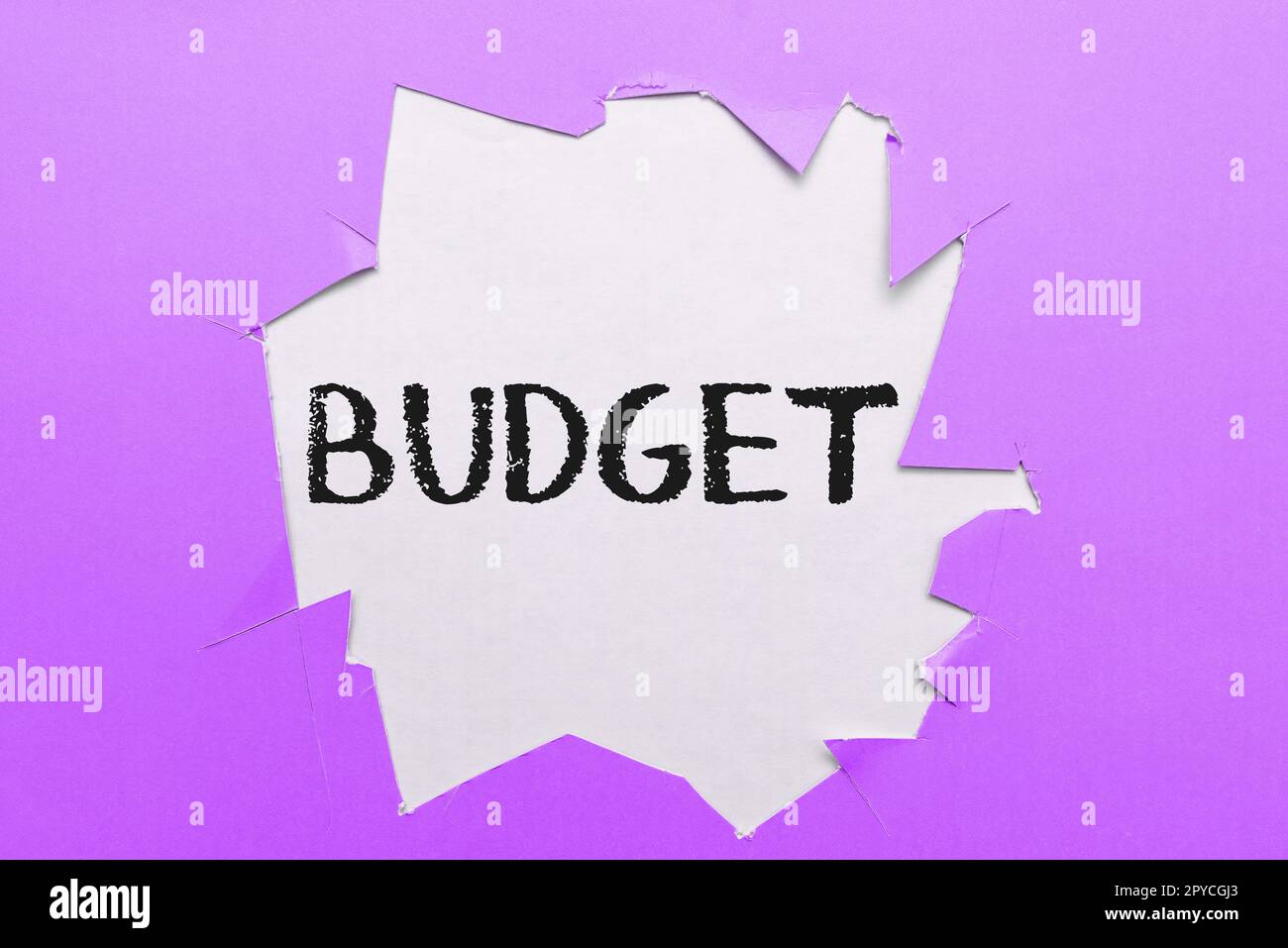 Handwriting text Budget. Internet Concept defined estimate of income ...