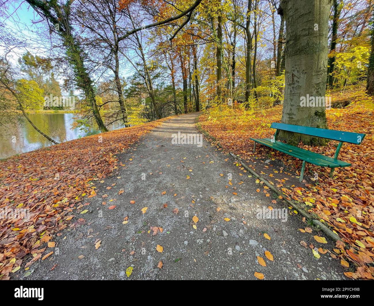 Walk through the park in autumn Stock Photo - Alamy
