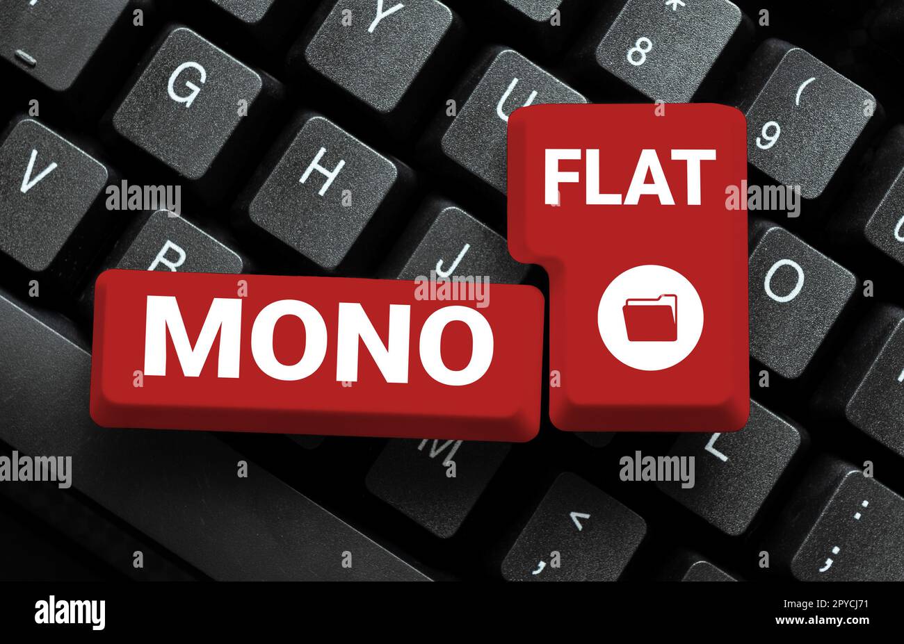 Conceptual display Mono Flat. Business showcase lying at full length or ...