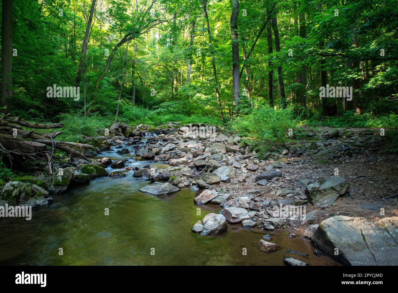Long exposure image of flowing idyllic woodland stream Stock Photo - Alamy