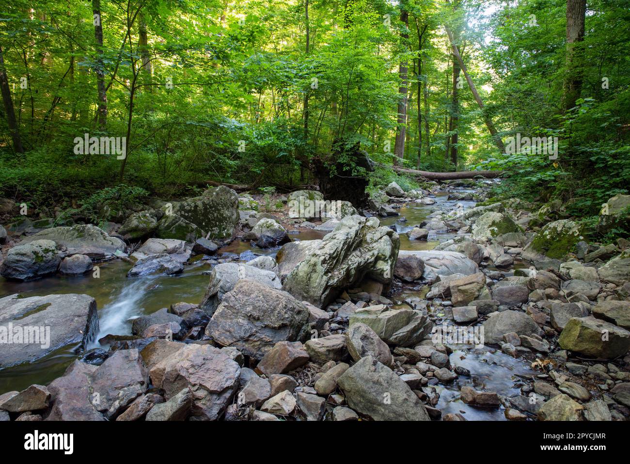 Closeup of gray boulders by an idyllic woodland stream long exposure ...