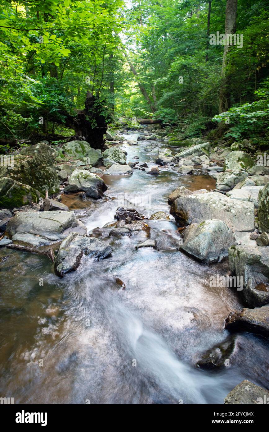Vertical green woodland stream nature background with boulders Stock ...