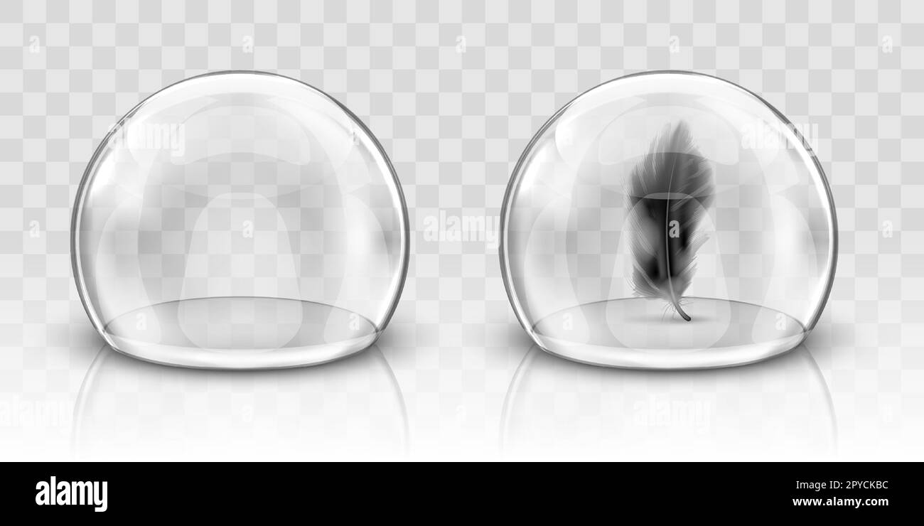 Glass Dome Or Sphere Realistic Vector Glass Round Dome Empty Crystal Globe And Black Feather