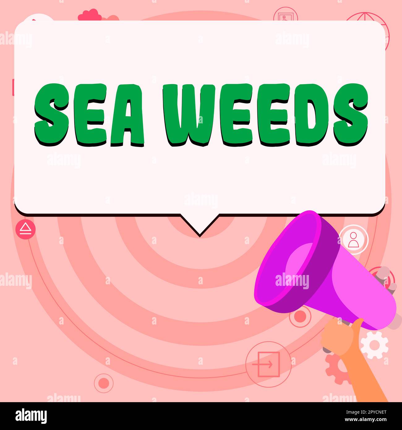 Writing displaying text Sea Weeds. Word Written on Large algae growing ...