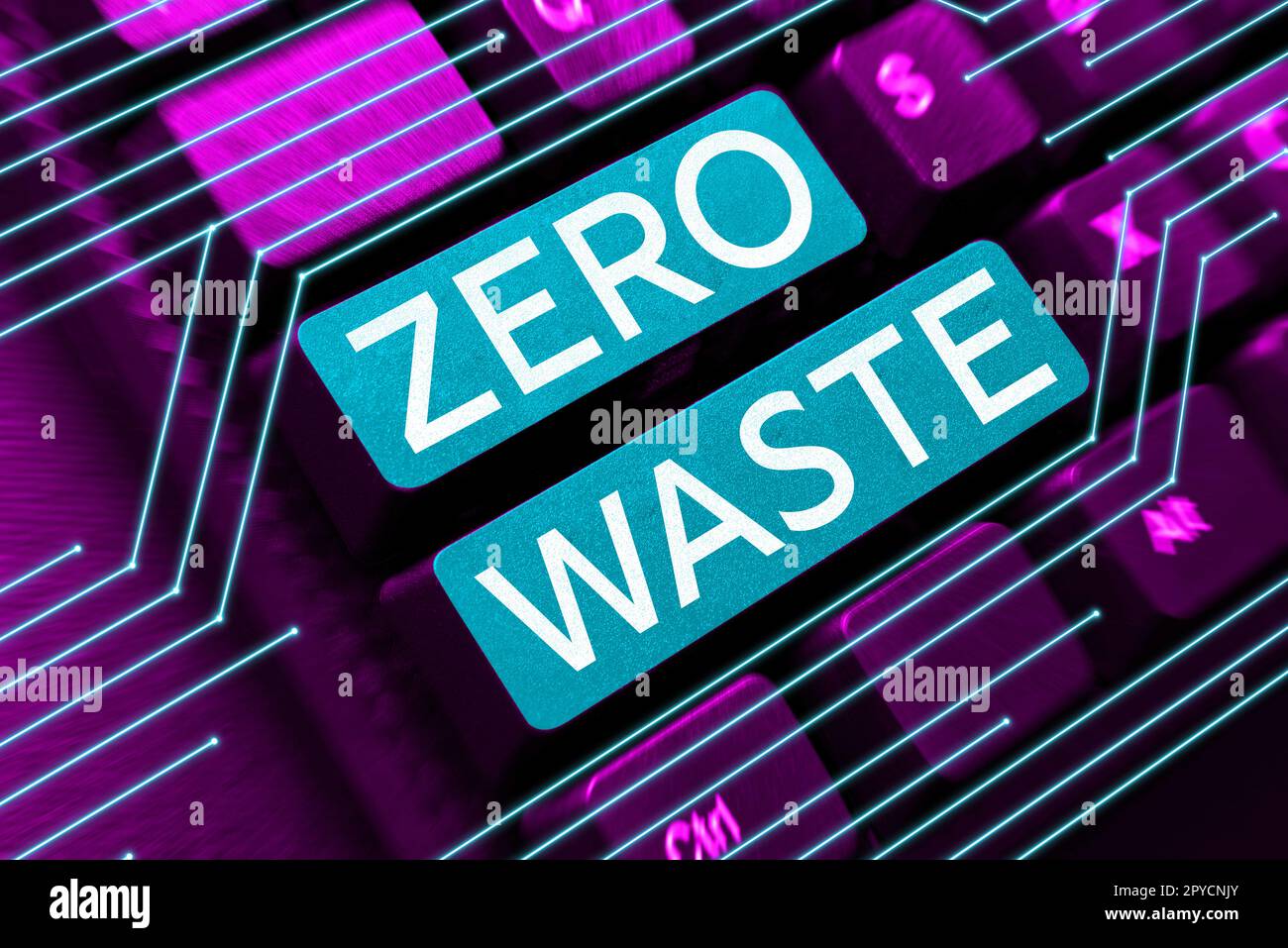 Handwriting text Zero Waste. Business showcase industrial responsibility includes composting ...