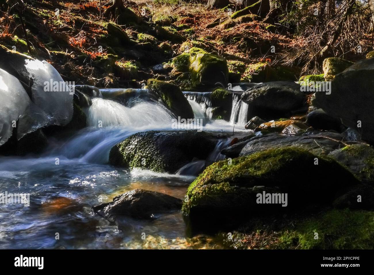 Water from beautiful brook hi-res stock photography and images - Alamy