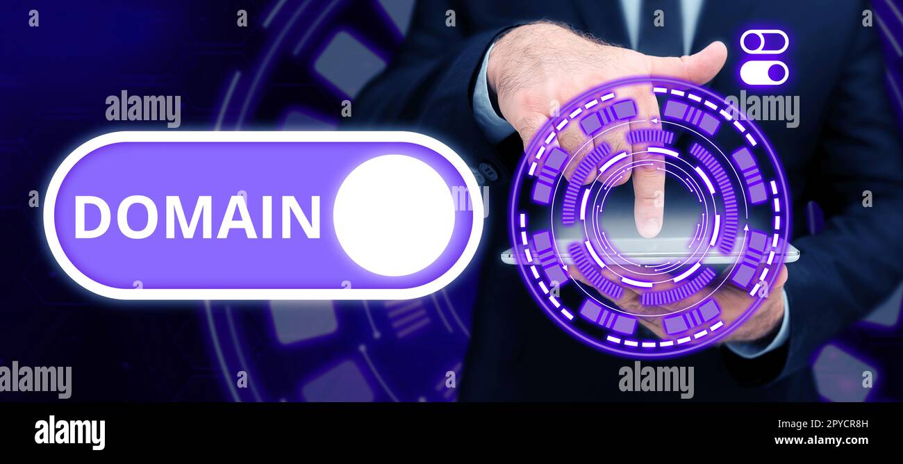 Conceptual display Domain. Concept meaning distinct subset of Internet ...