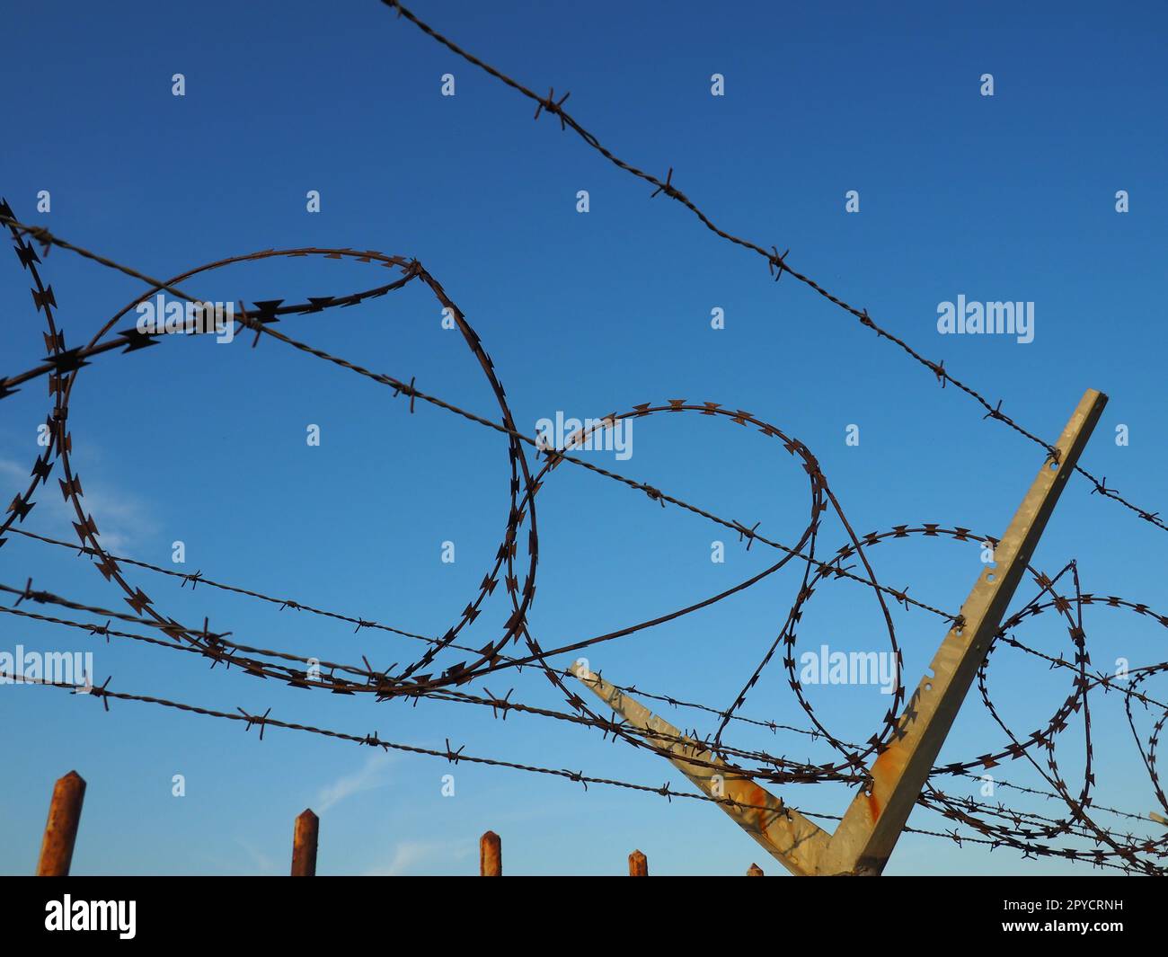 Barbed wire in skeins and stretched against the blue sky. Barbed wire ...