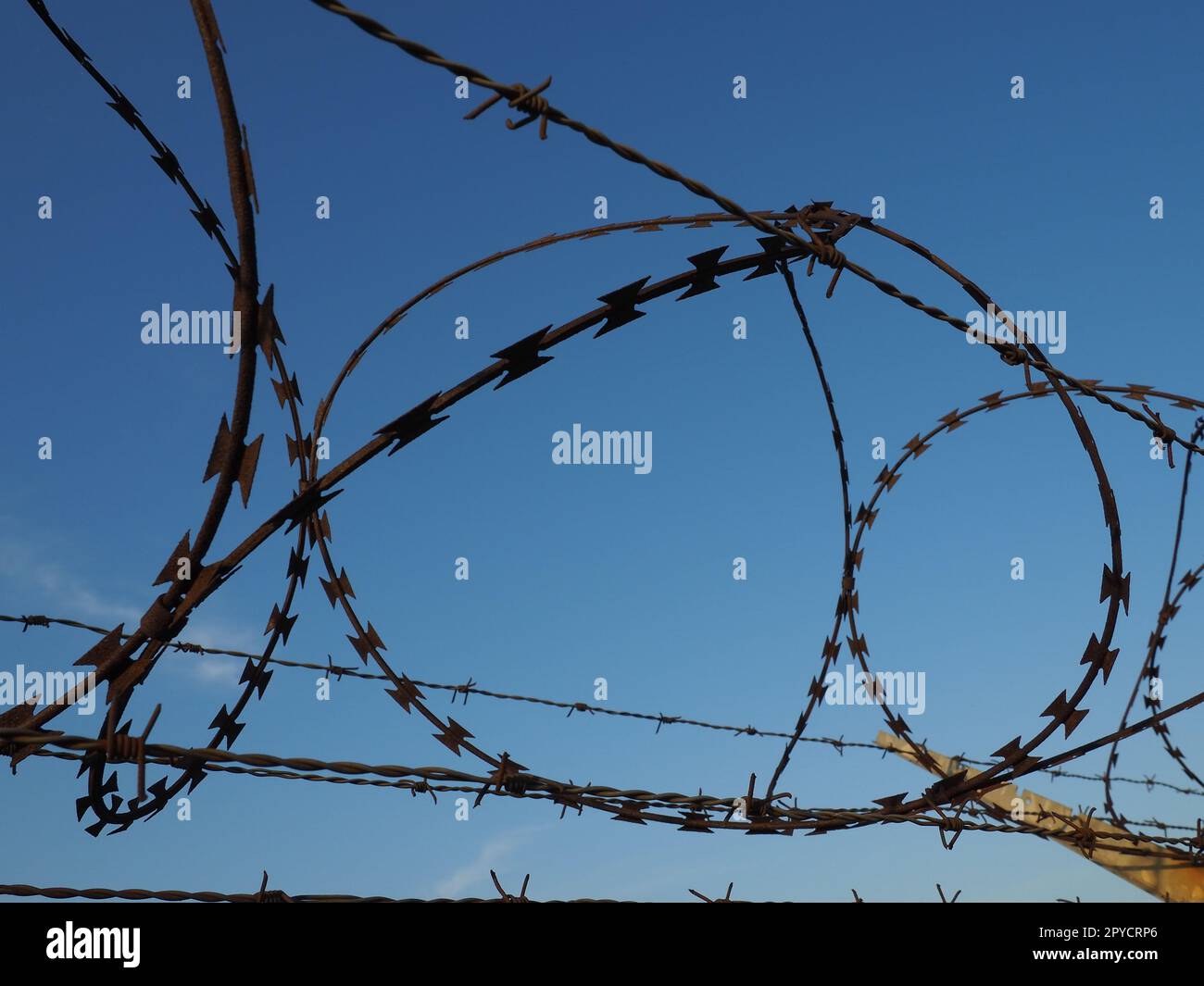 Barbed wire in skeins and stretched against the blue sky. Barbed wire ...
