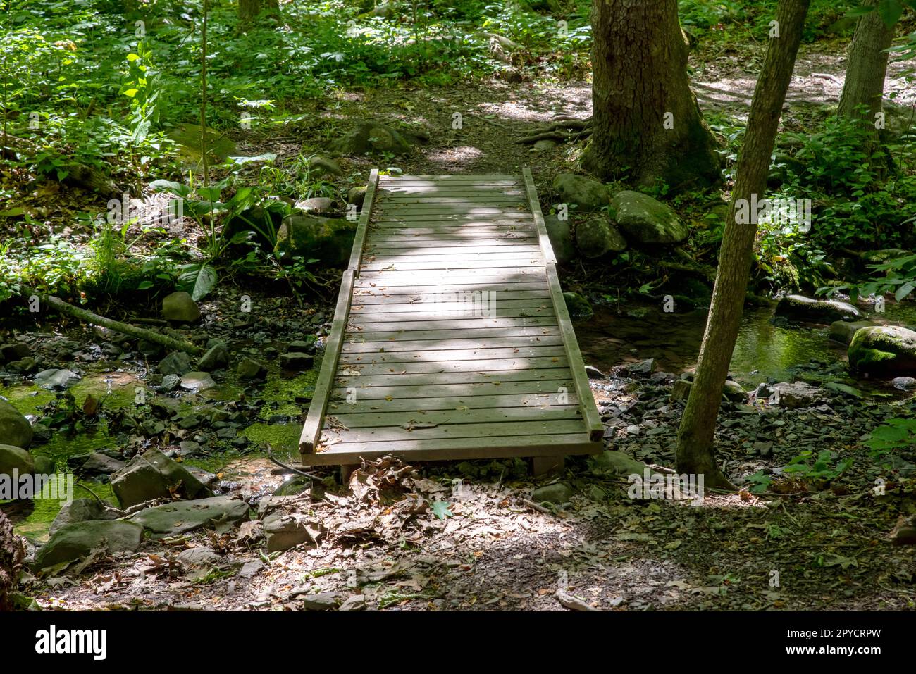 Closeup of a rustic wooden bridge on ahiking trail through green ...