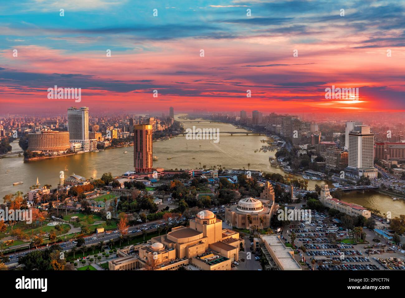 Alligator River Nile Cairo Egypt