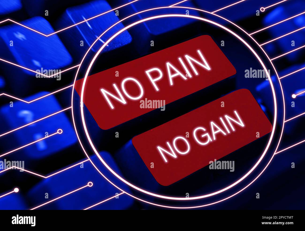 Inspiration showing sign No Pain No Gain. Word Written on All success ...