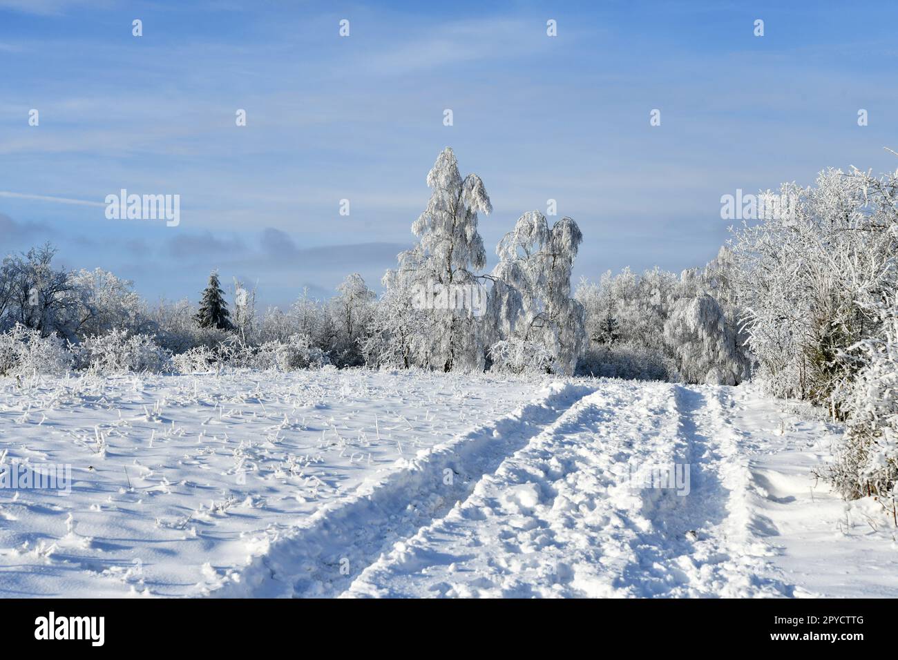 Beautiful winter landscape hiking in hi-res stock photography and ...