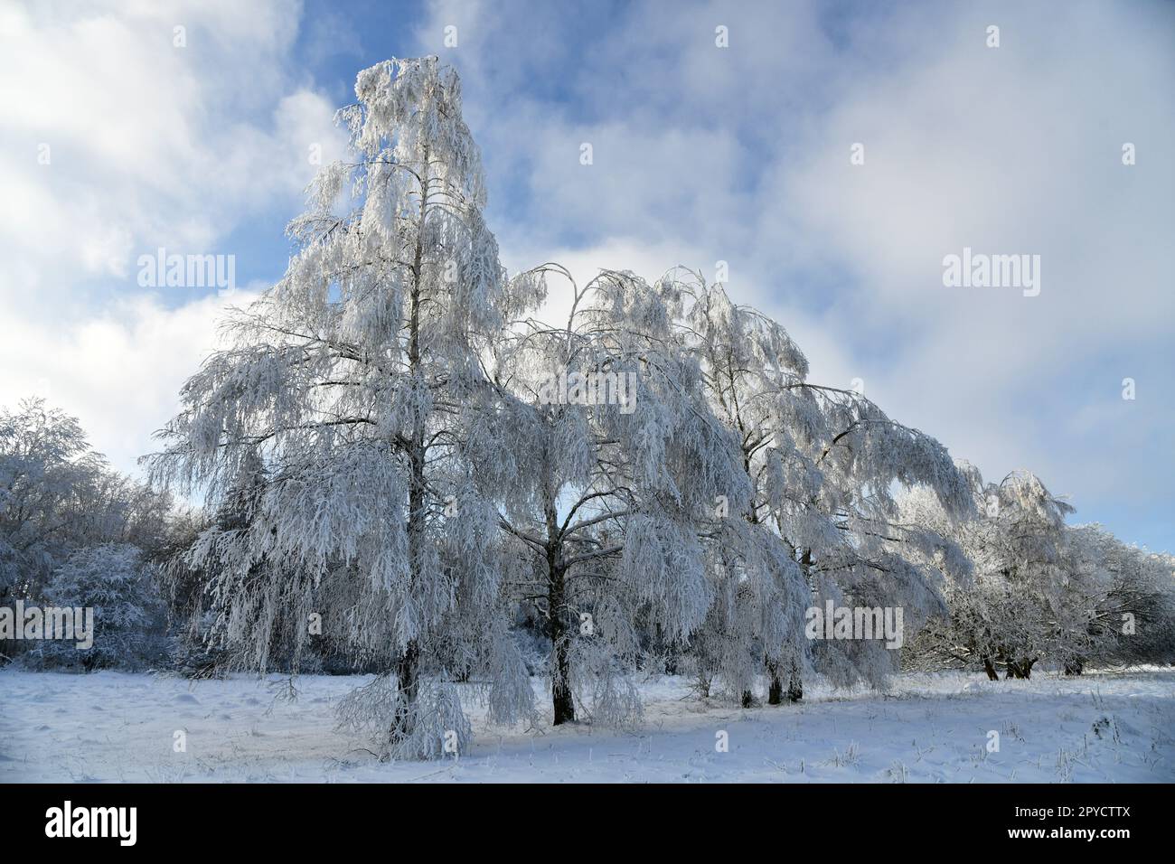 beautiful winter landscape in sunny weather Stock Photo - Alamy