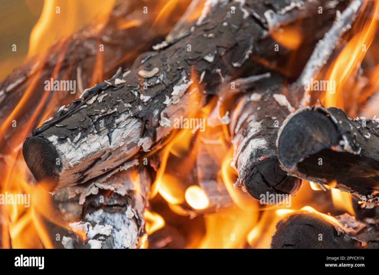 Fire on branches and firewood burning in coals. Garden, rural, cottage ...