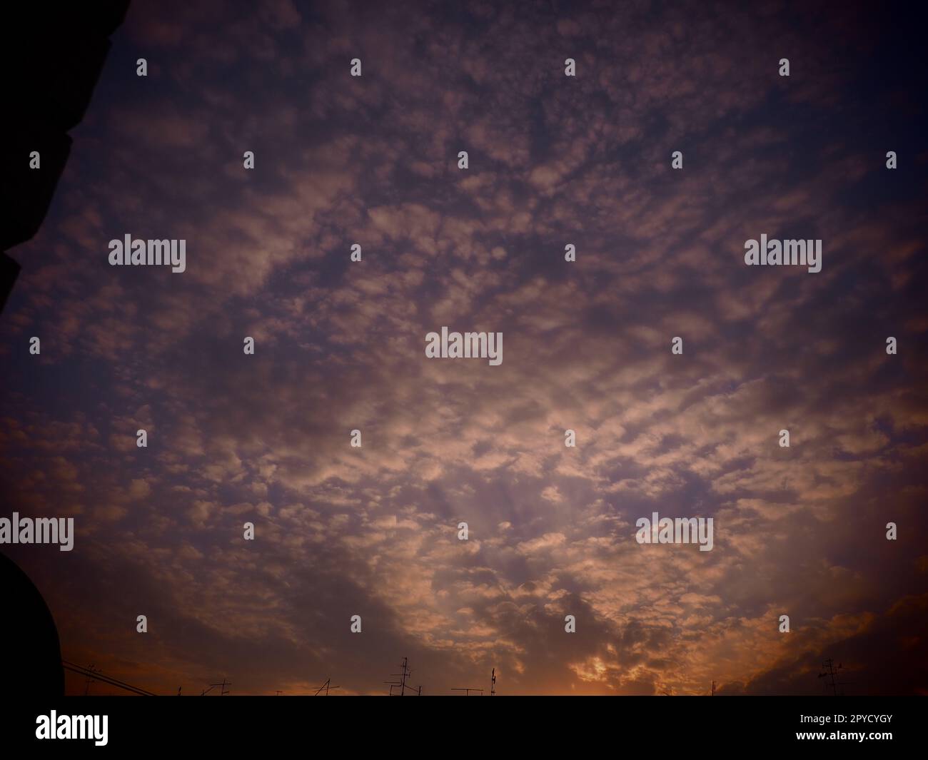 Pink, red, purple sunset sky cloud. Dramatic sunset sky. Wonderful ...