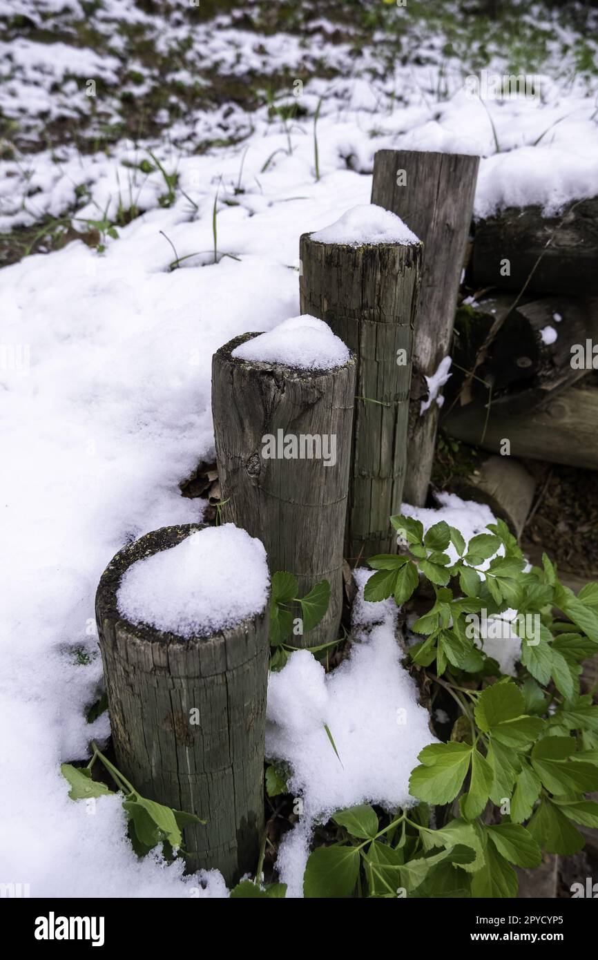 Ice wood scene hi-res stock photography and images - Alamy