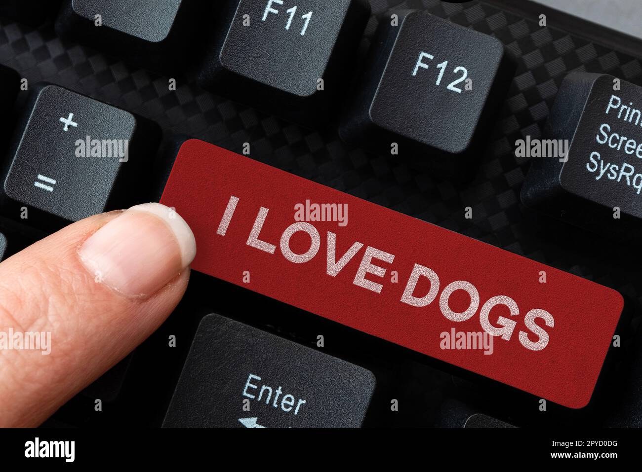 Happy dogs sign hi-res stock photography and images - Alamy