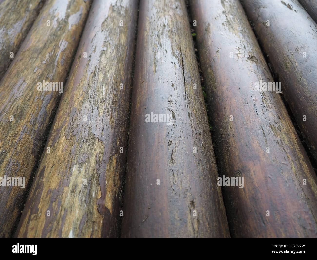 A construction log for use in construction without longitudinal sawing ...