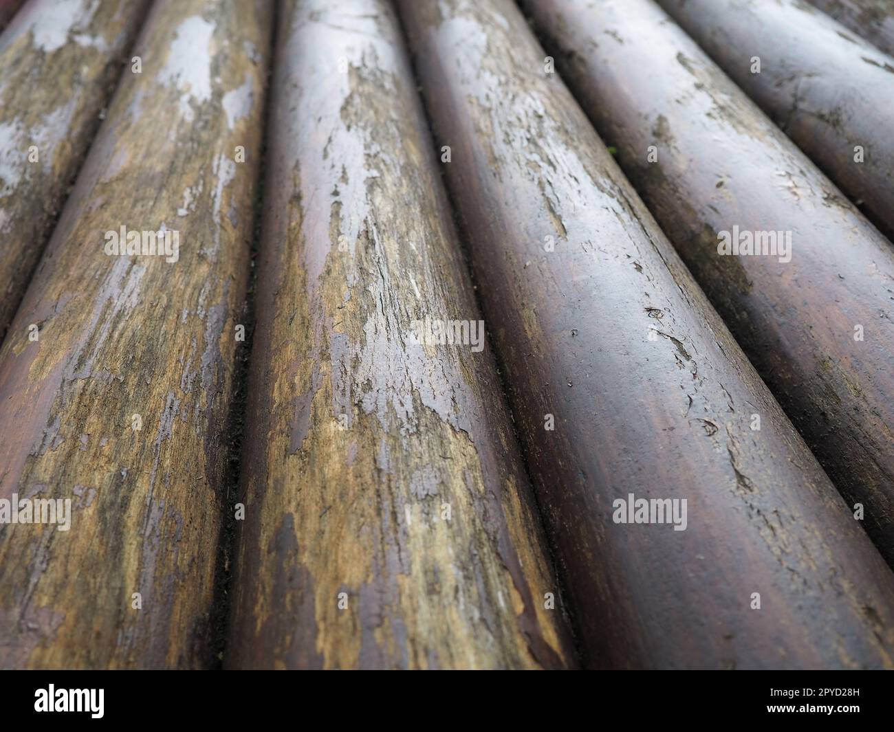 Log sawing hi-res stock photography and images - Alamy
