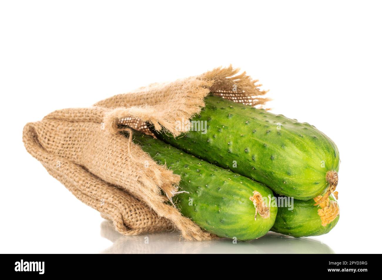 Three ripe green cucumbers in a jute bag, macro, isolated on white ...