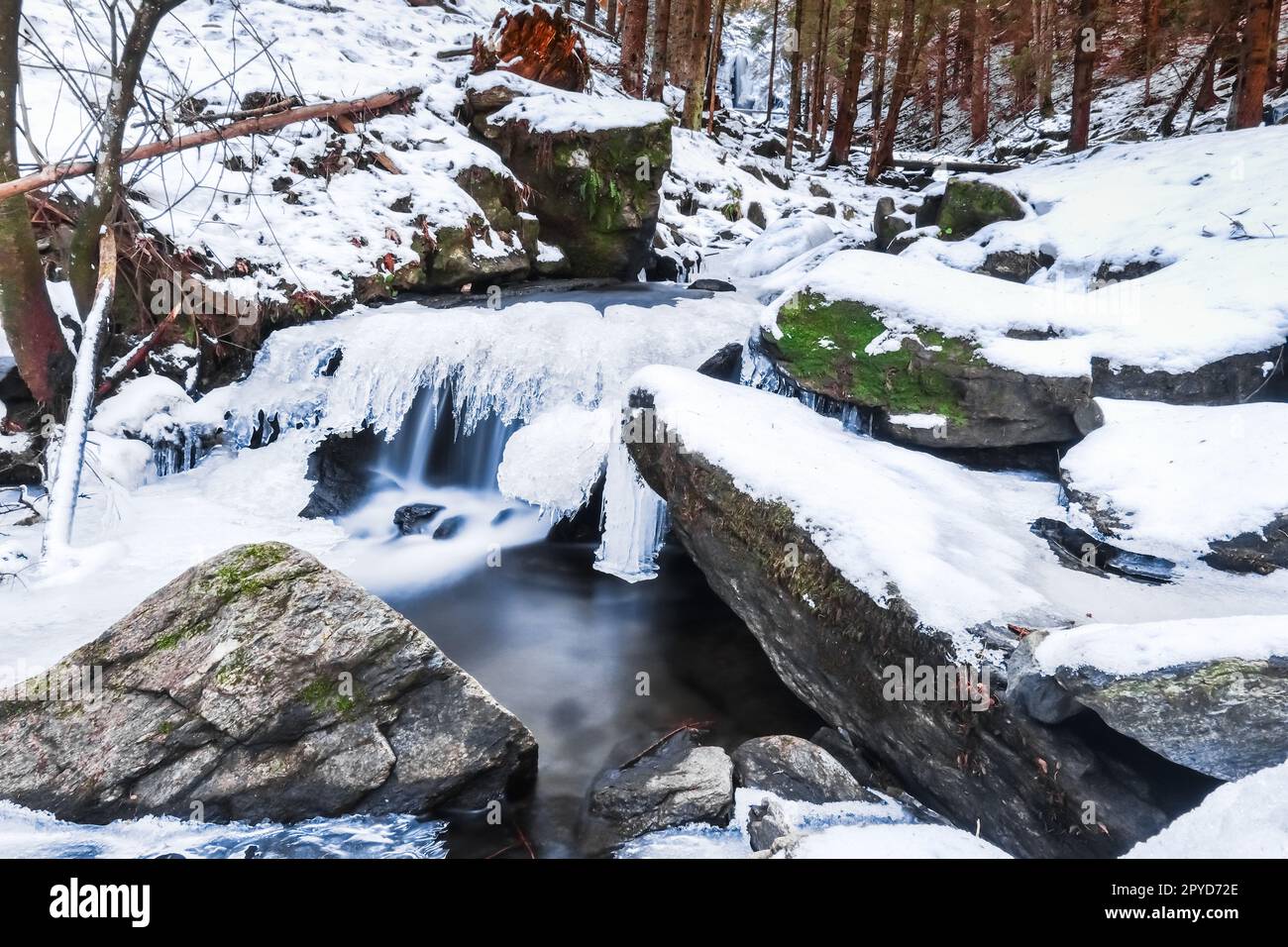 frozen brook with rocks and snow in a forest Stock Photo - Alamy