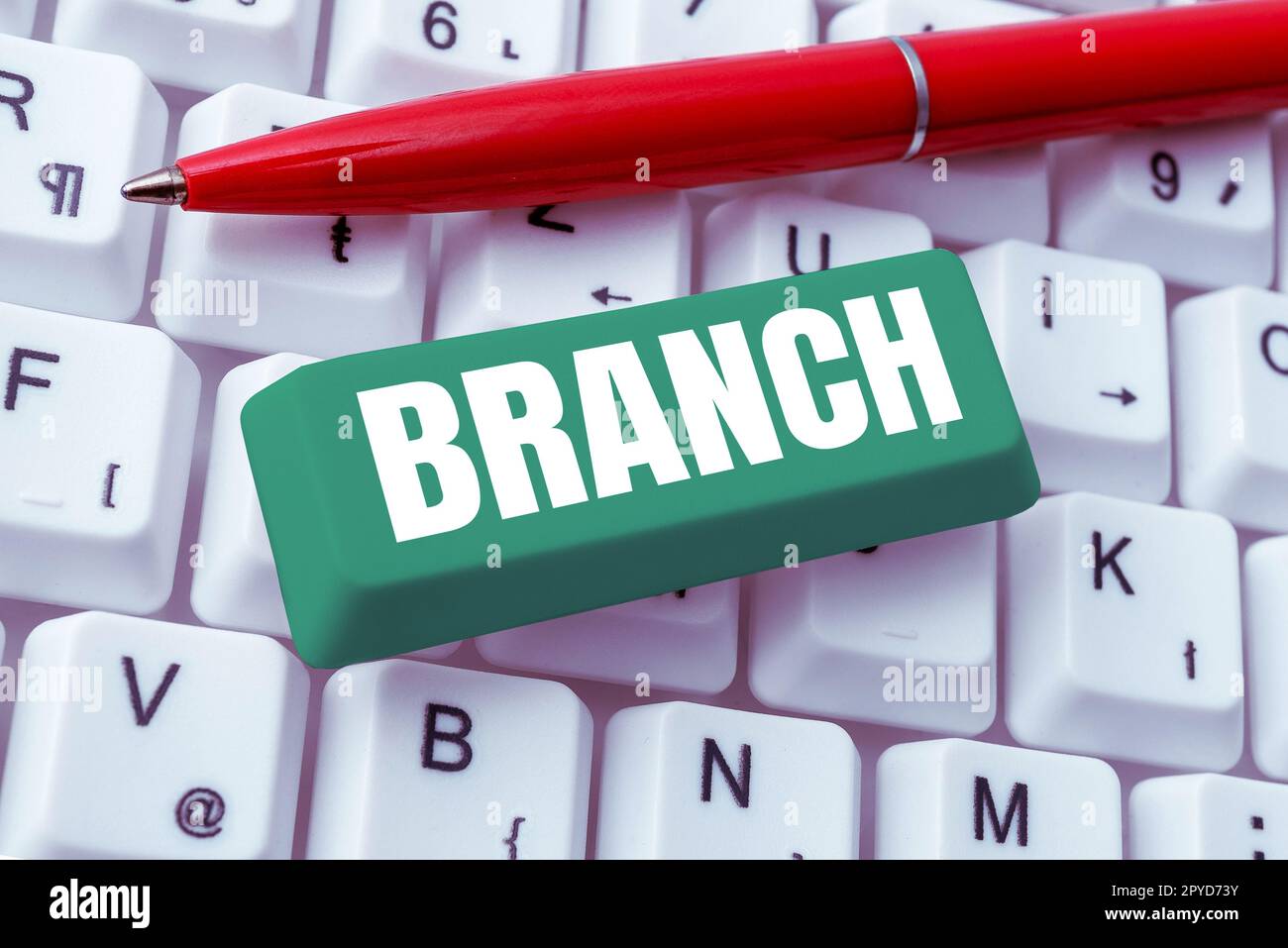 Writing displaying text Branch. Business approach a part of a tree ...