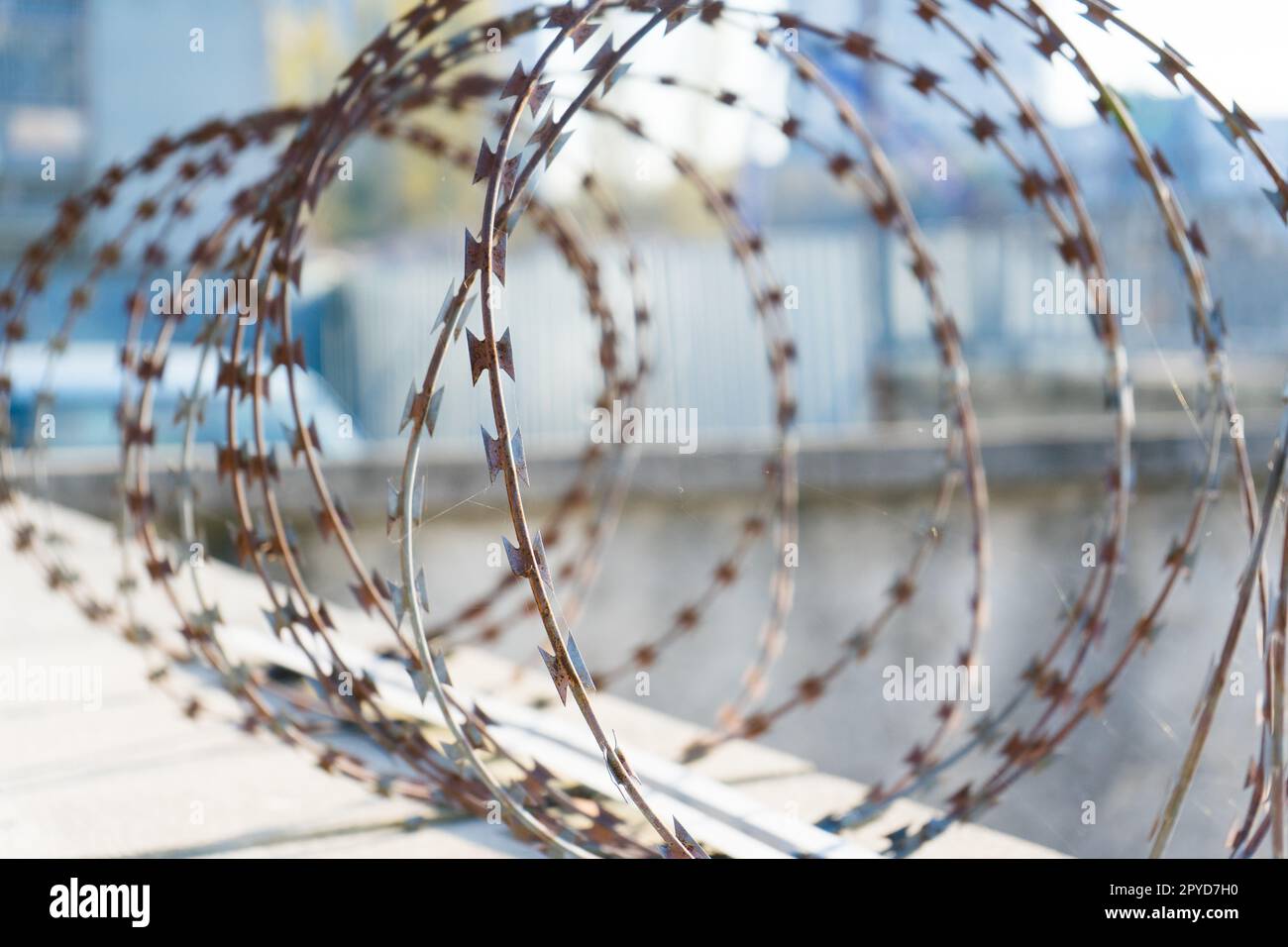 Barber wire hi-res stock photography and images - Alamy