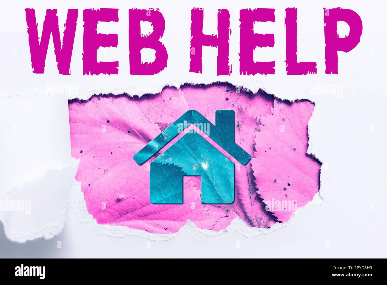 Procedural programming hi-res stock photography and images - Alamy