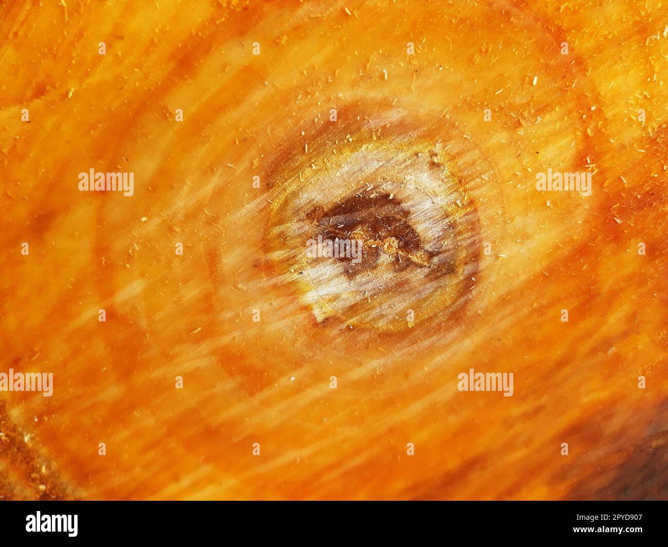 Cut the cut of the wood apple tree hi-res stock photography and images ...