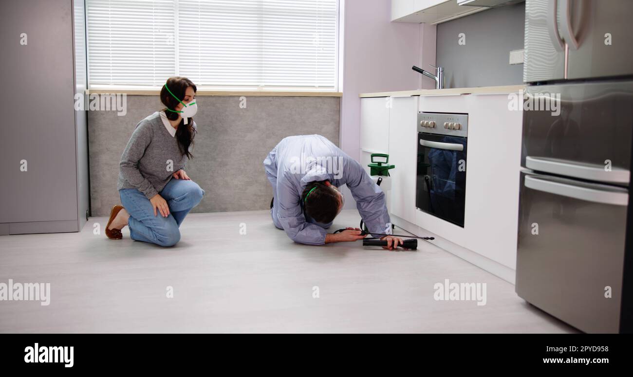 Exterminator Worker Spraying Insecticide Chemical Stock Photo - Alamy