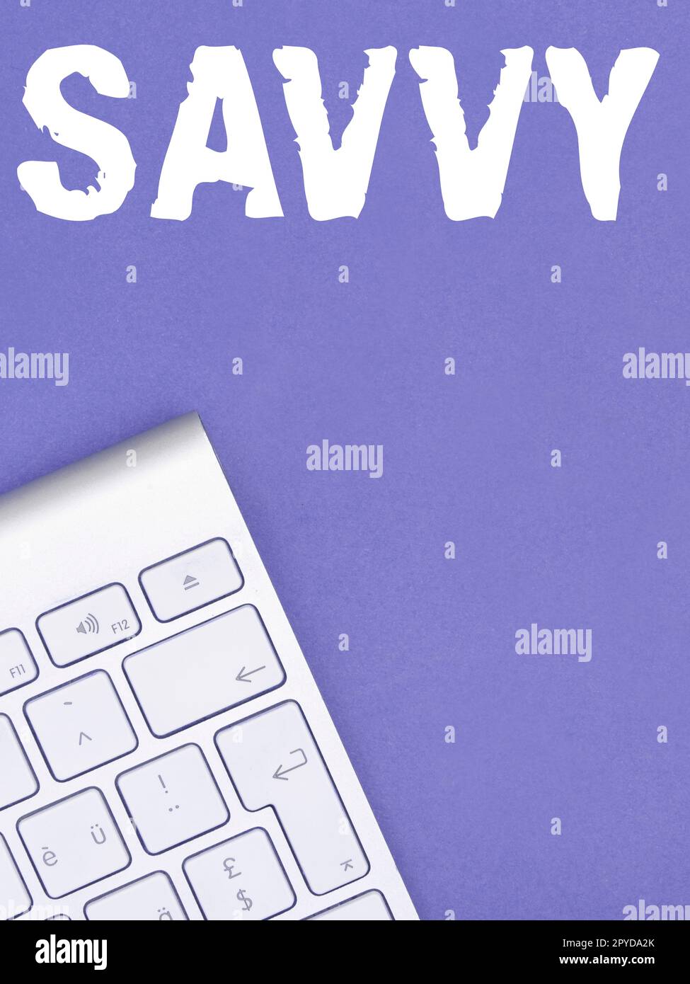 Text showing inspiration Savvy. Word Written on having perception ...