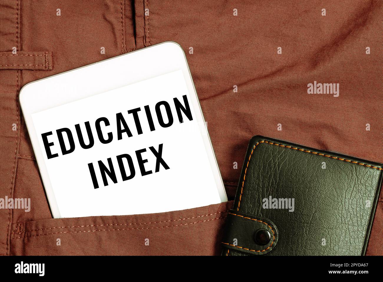 Sign displaying Education Index. Concept meaning aiming to meet ...