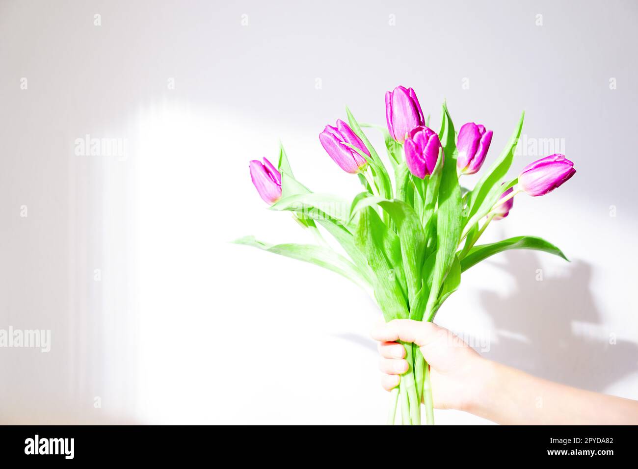 Happy birthday spring flowers hi-res stock photography and images - Alamy