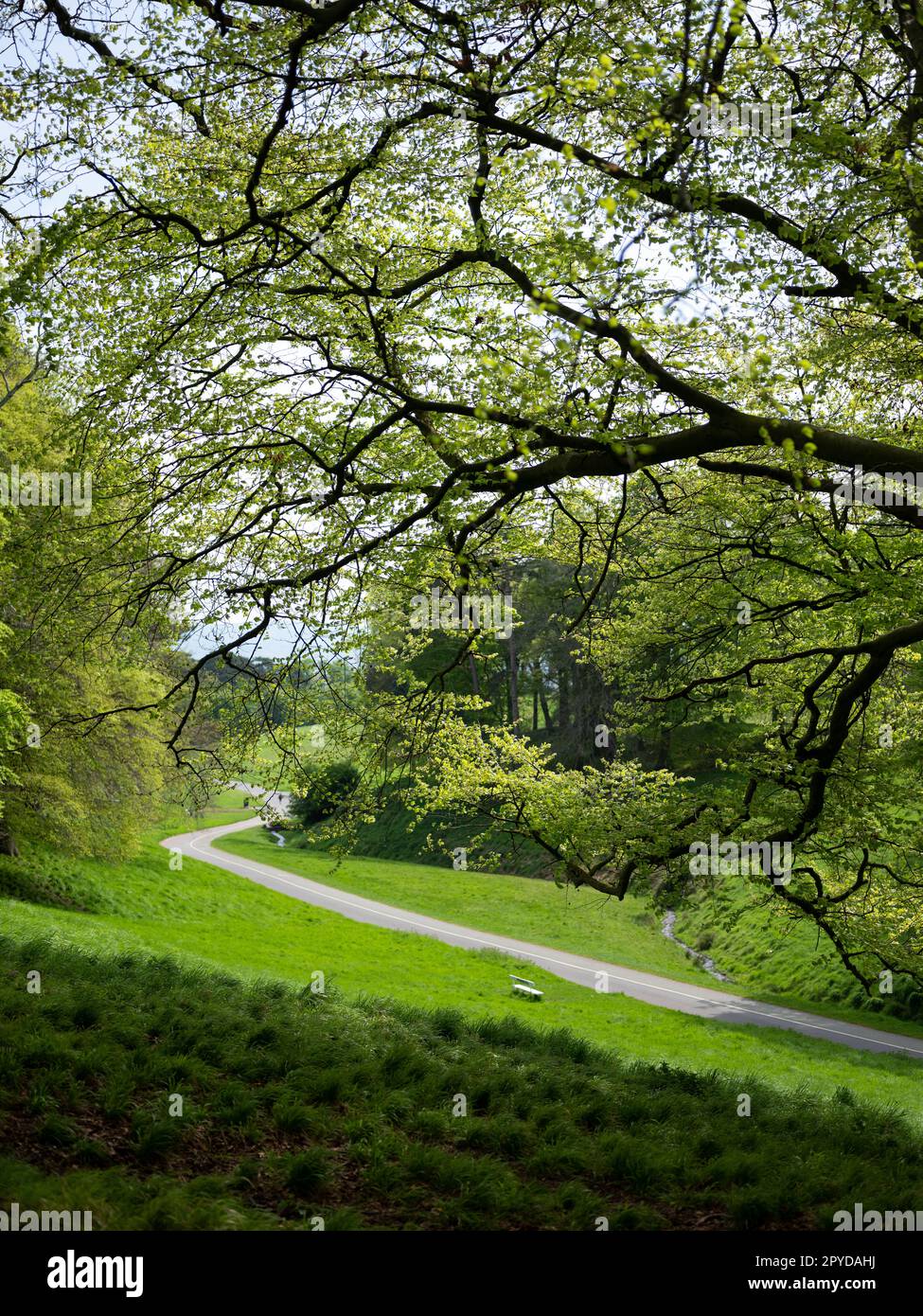 The Phoenix Park in Dublin city, Ireland Stock Photo - Alamy