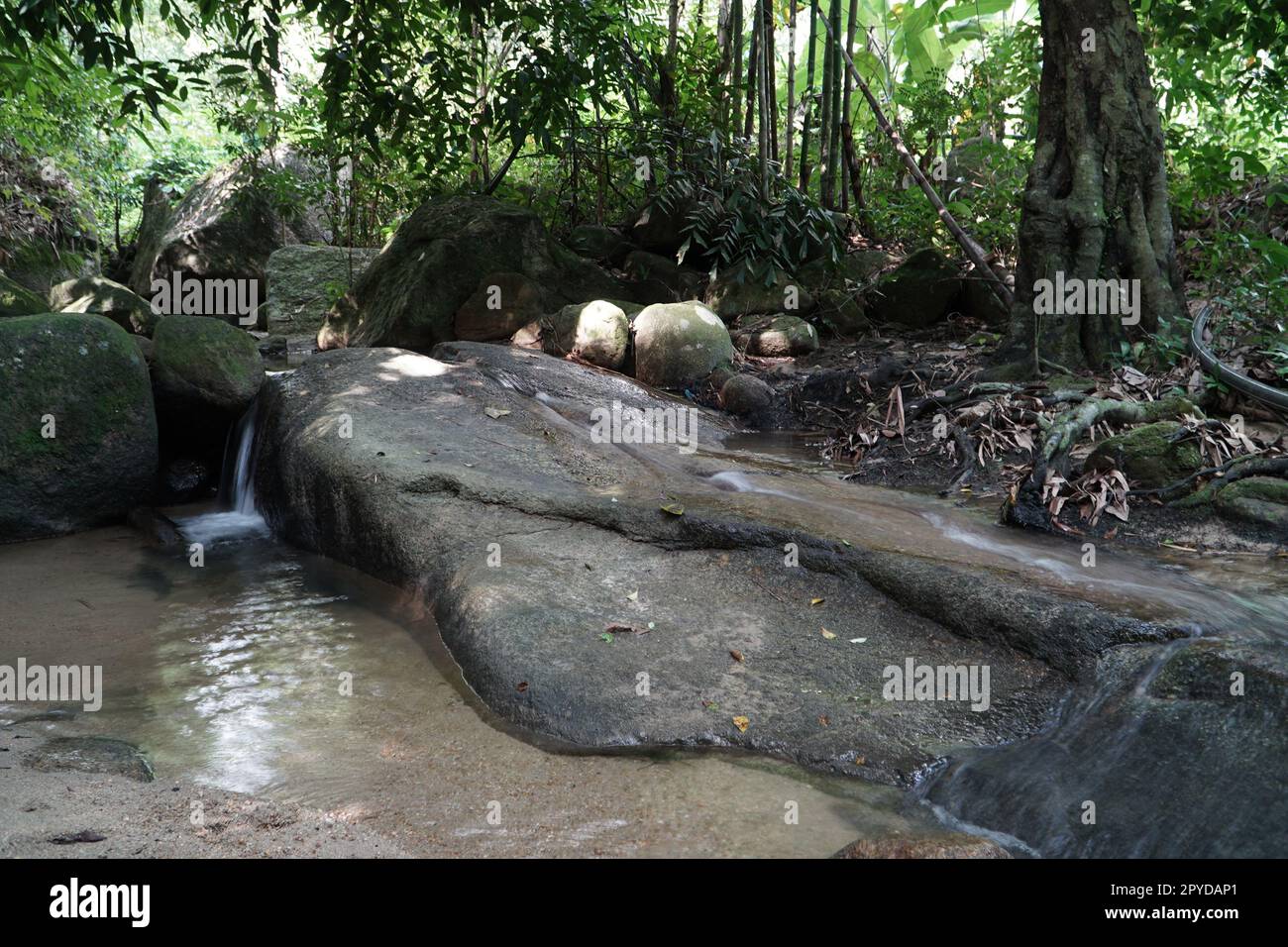 hidden river in a jungle Stock Photo - Alamy