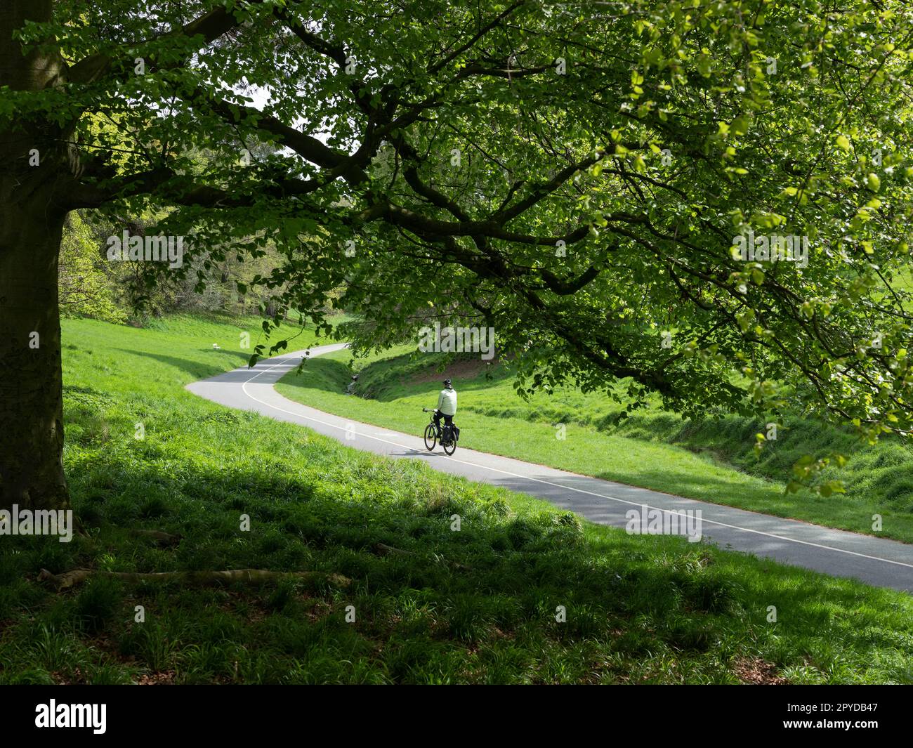 The Phoenix Park in Dublin city, Ireland Stock Photo - Alamy