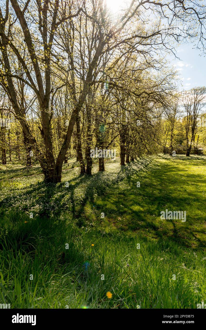 Millport Island West of Scotland Landmarks May 1st 2023 Stock Photo - Alamy